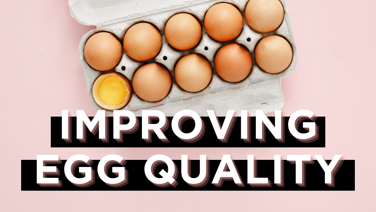 Improve Egg Quality Naturally {EXPERT TIPS} - Aimee Raupp